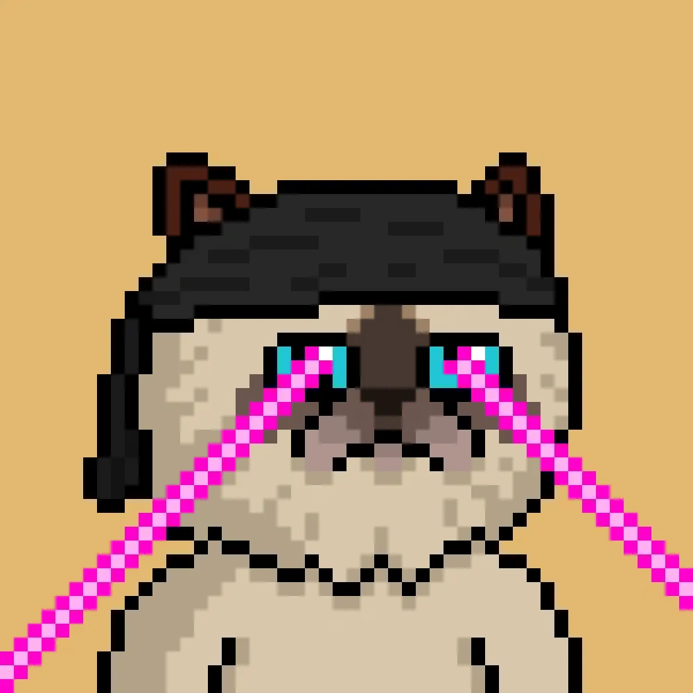 Miggles On Base #4984 - Miggles | OpenSea