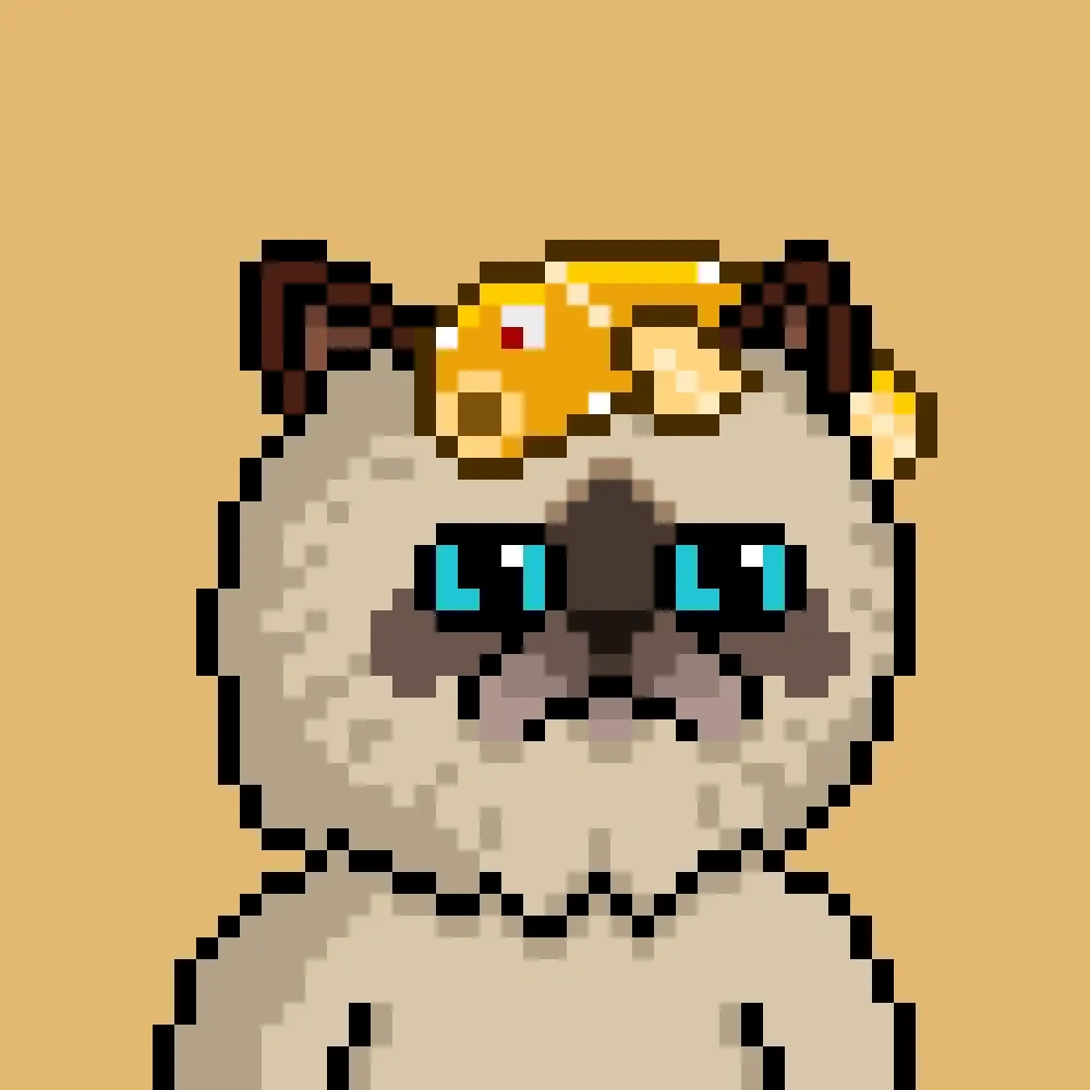 Miggles On Base #7142 - Miggles | OpenSea