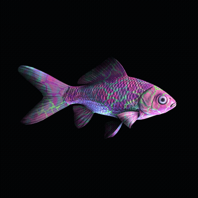 CryptoFish #1673 - メルカリNFT